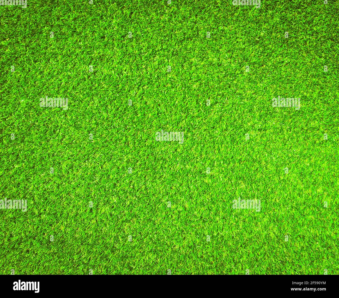 Beautiful green grass pattern from golf course for background. Copy ...