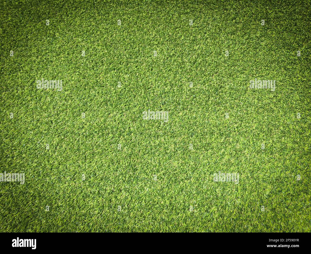 Beautiful green grass pattern from golf course for background. Copy ...