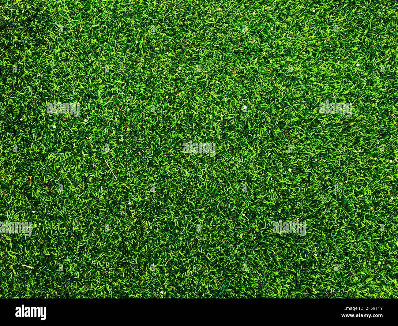 Beautiful green grass pattern from golf course for background. Copy ...