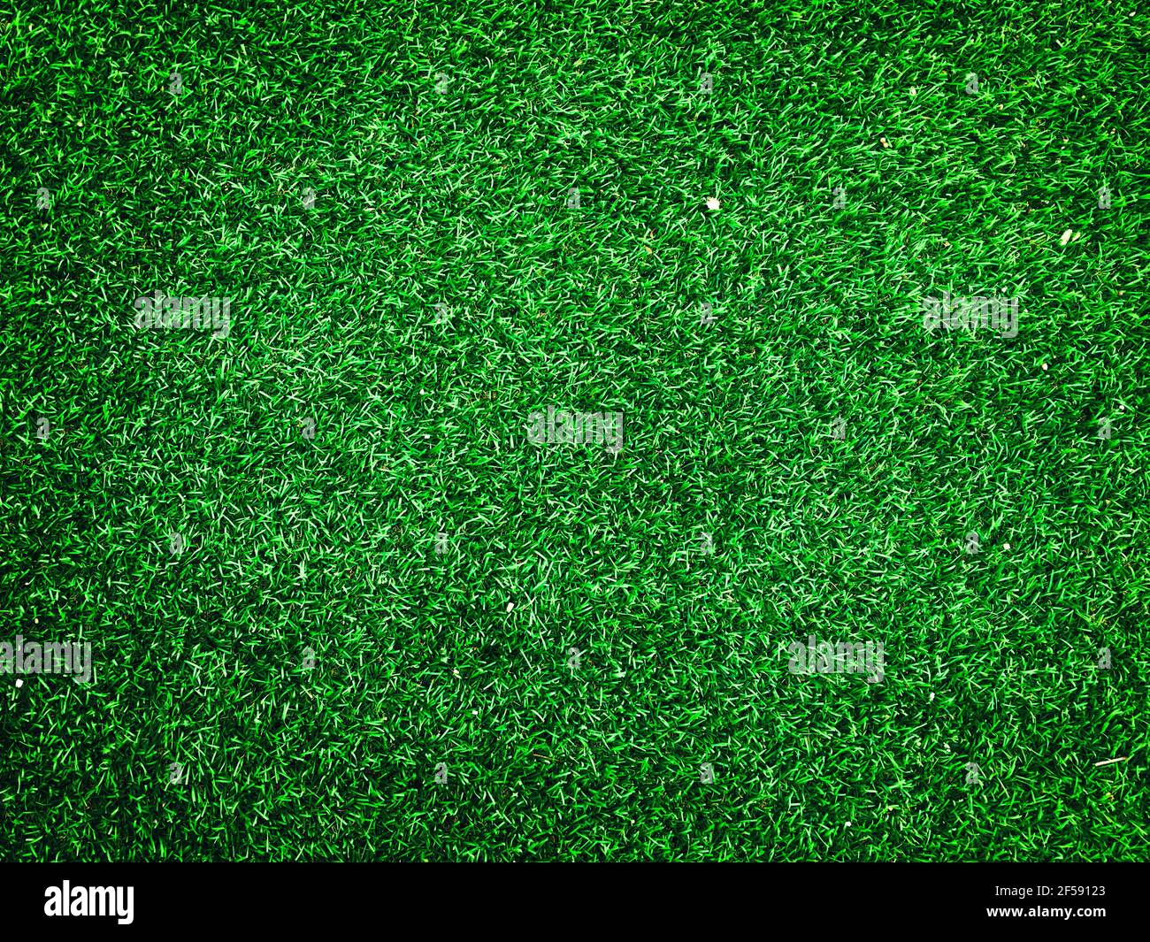 Beautiful green grass pattern from golf course for background. Copy ...