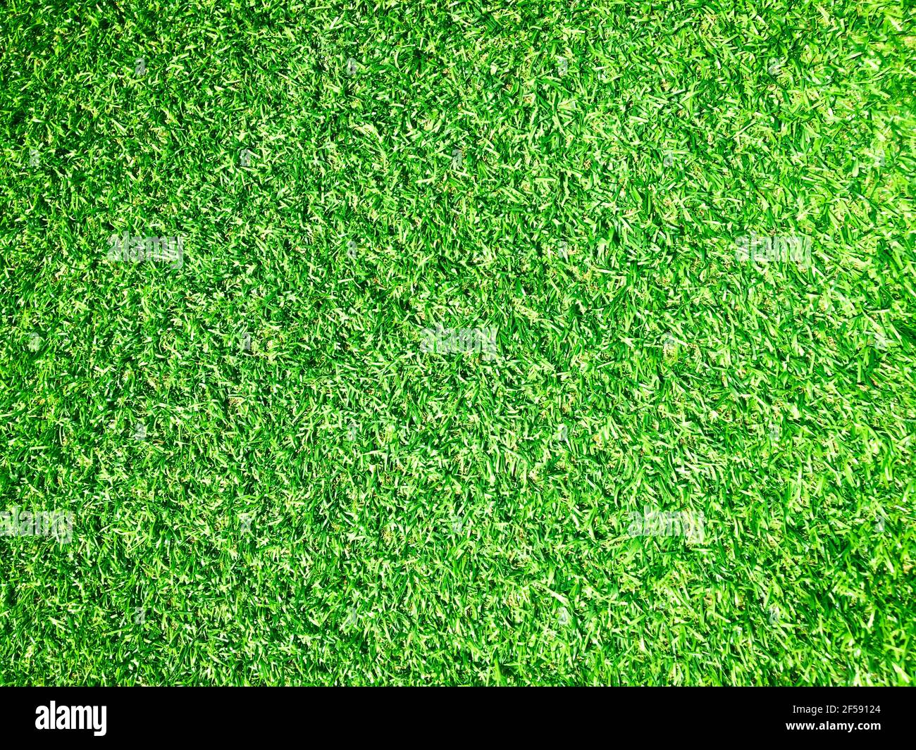 Beautiful green grass pattern from golf course for background. Copy ...