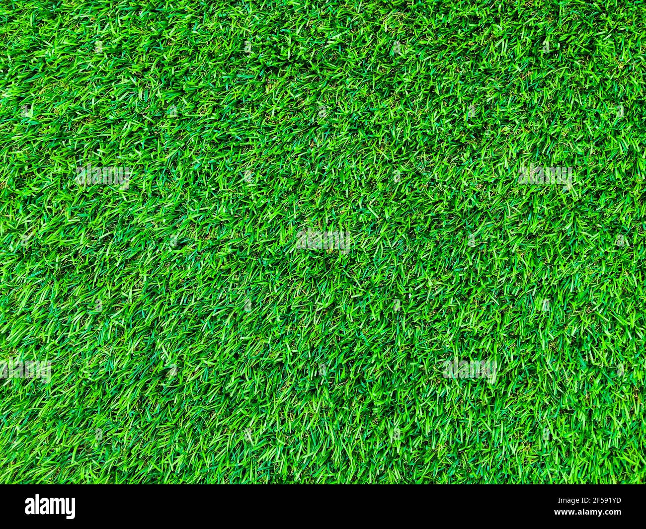 Modern green lawn texture background. Wallpaper for work and design ...