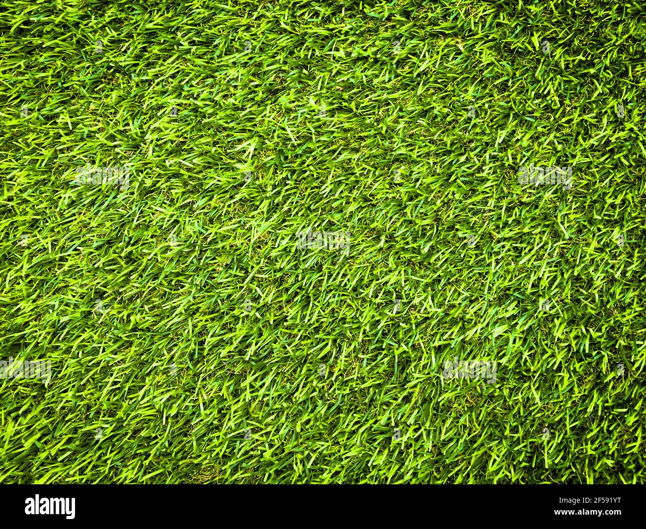 Modern green lawn texture background. Wallpaper for work and design ...