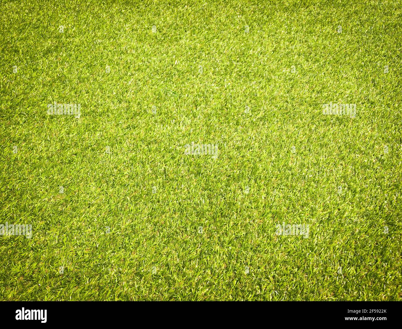 Top view of green grass texture background. Element of design Stock ...