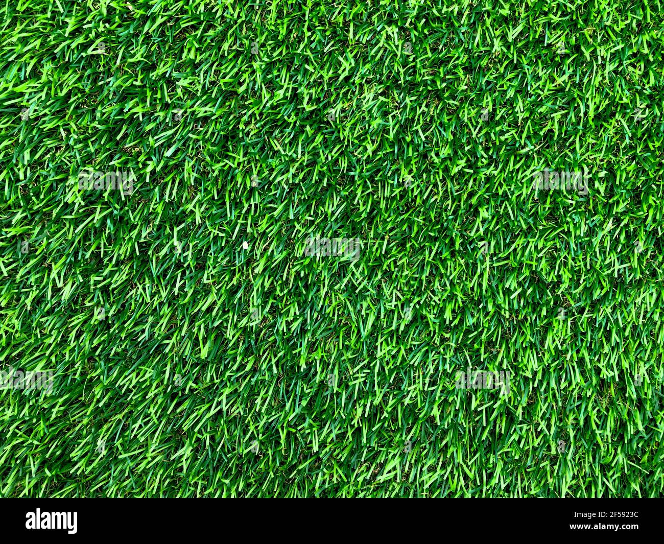 Modern green lawn texture background. Wallpaper for work and design ...