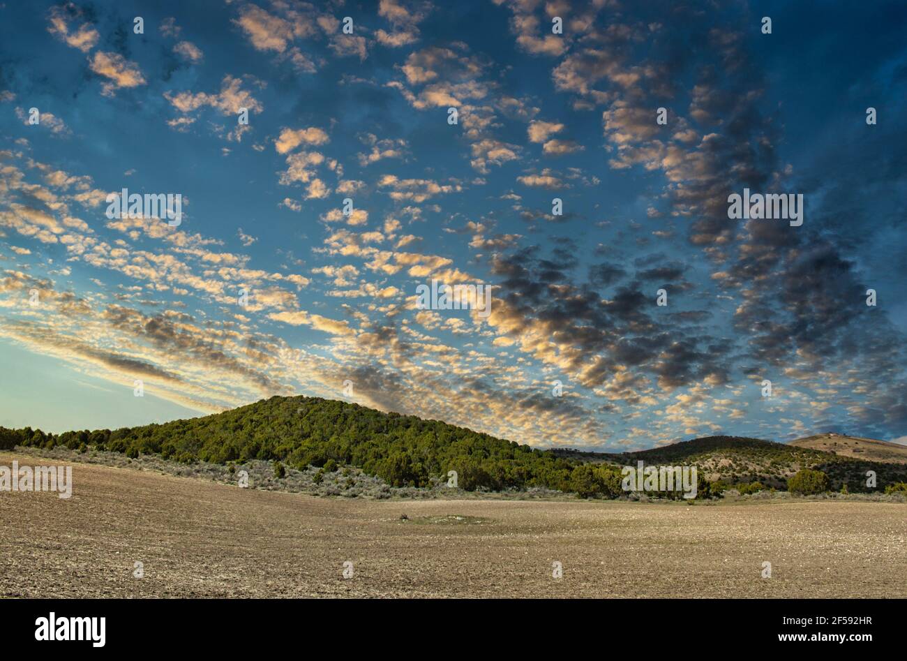 Landscape view of forested mountains under sunset sky Stock Photo - Alamy