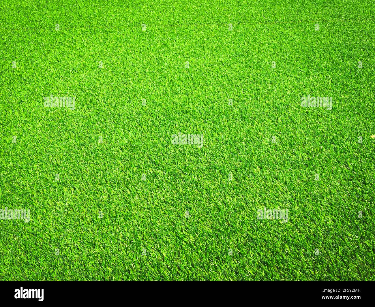 Artificial grass texture space background Stock Photo - Alamy