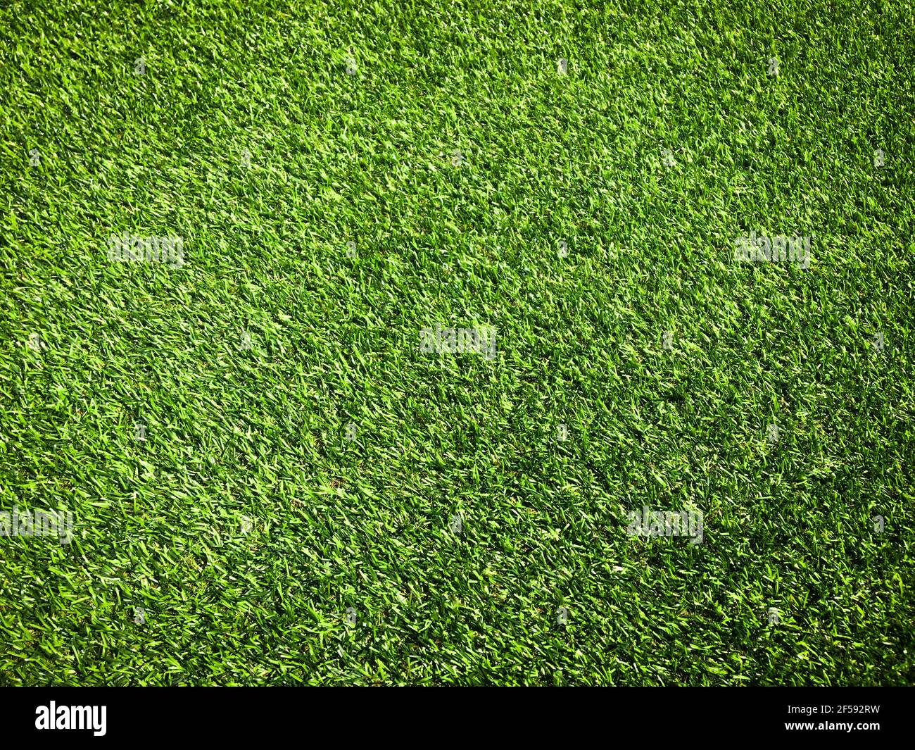 Artificial grass texture space background Stock Photo - Alamy