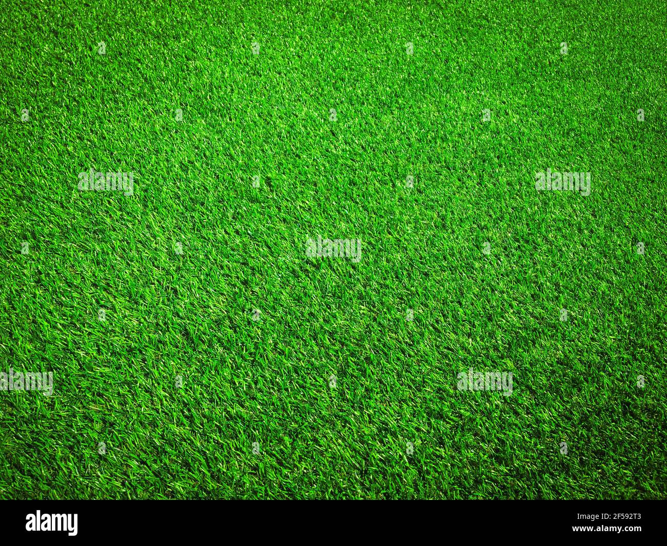 Green grass in the natural background for design Stock Photo - Alamy