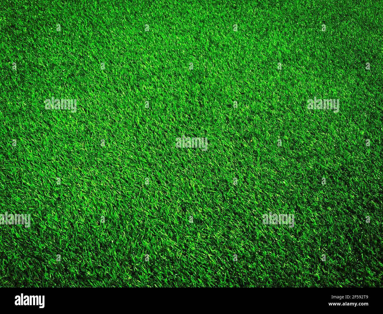 Green grass in the natural background for design Stock Photo - Alamy