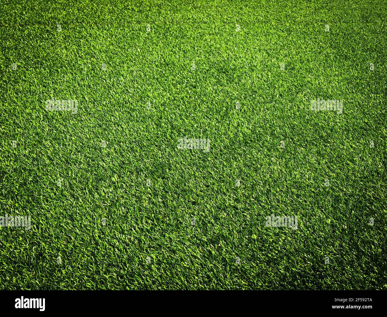 Green grass in the natural background for design Stock Photo - Alamy