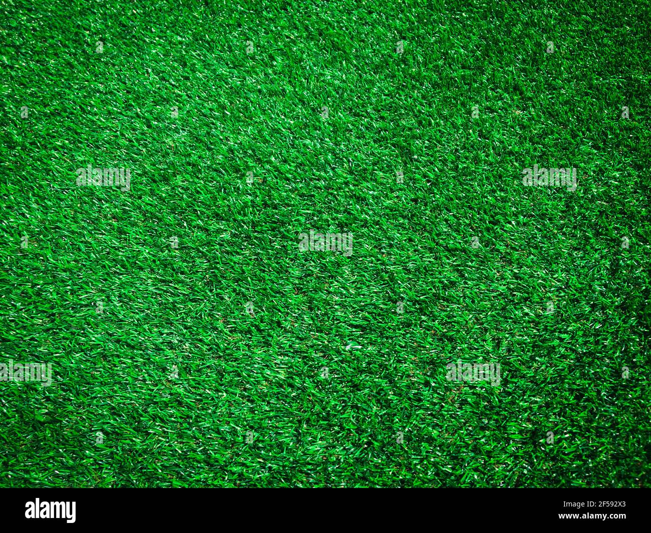 Green grass in the natural background for design Stock Photo - Alamy