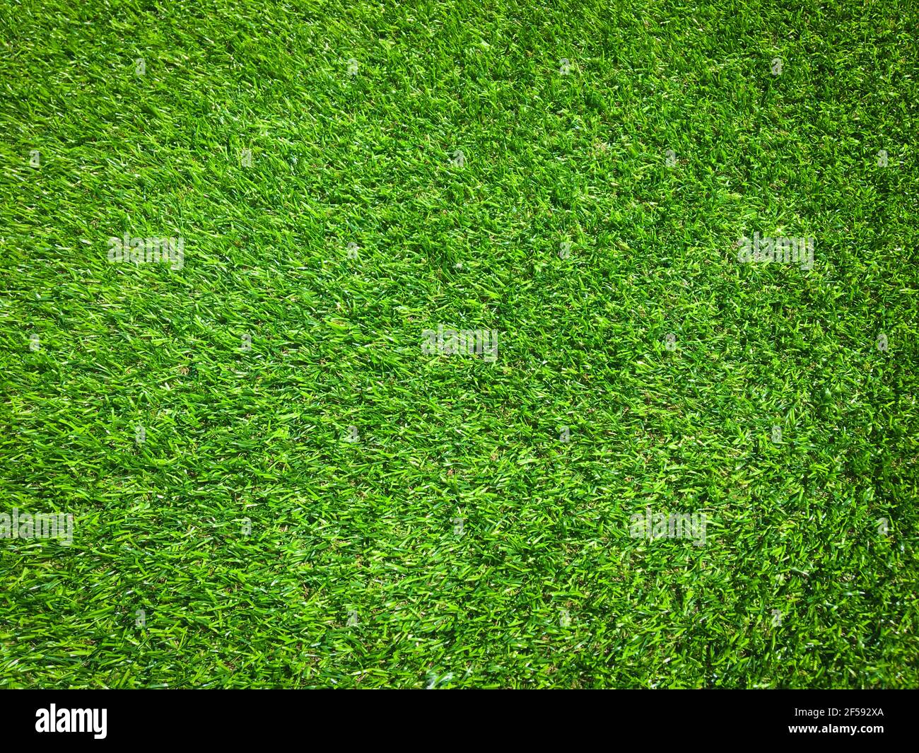 Green grass in the natural background for design Stock Photo - Alamy