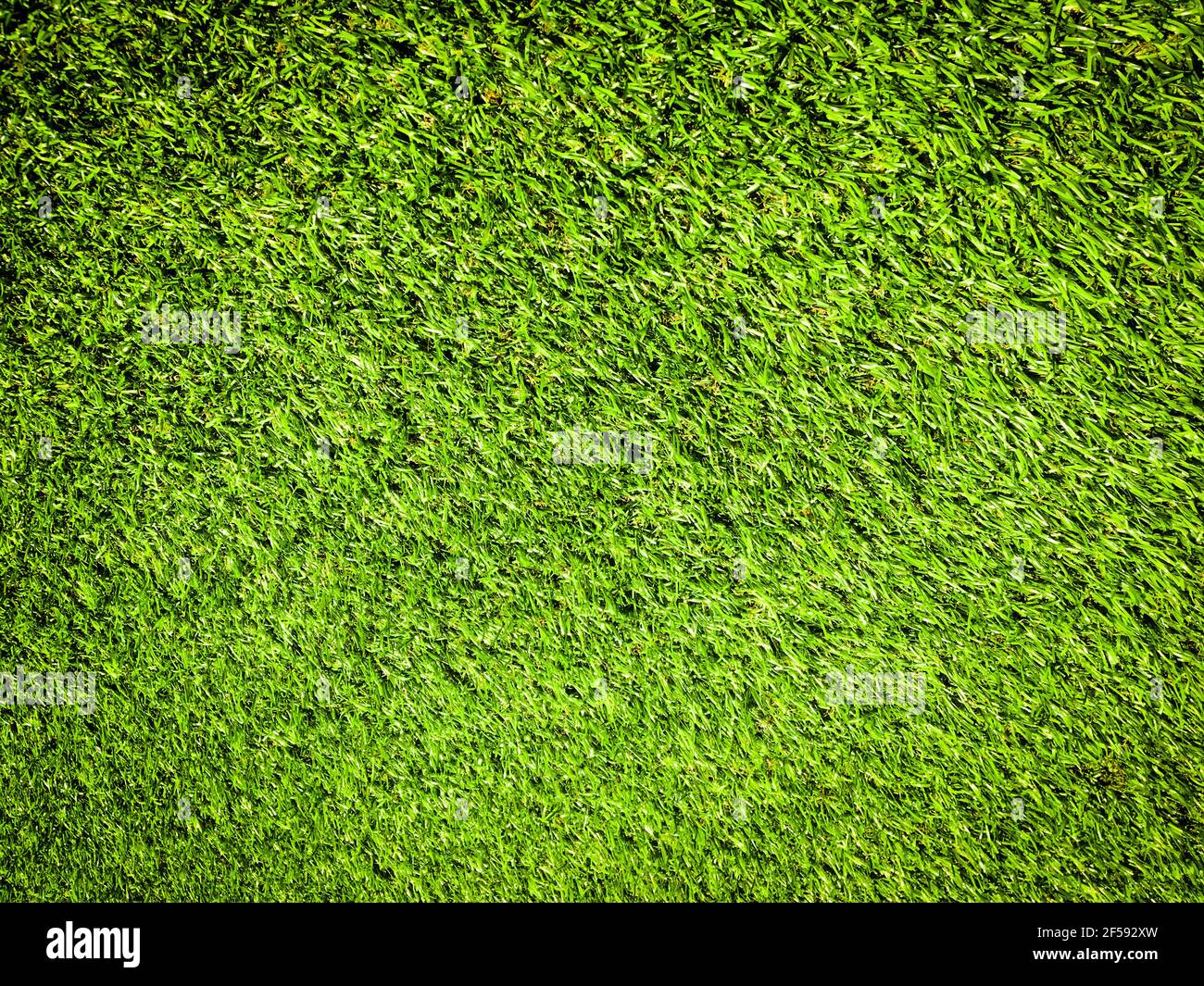 Green grass in the natural background for design Stock Photo - Alamy
