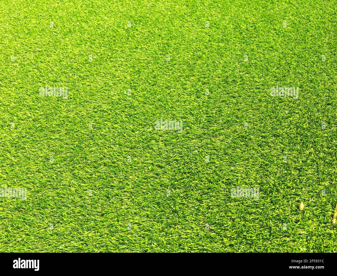 Green grass in the natural background for design Stock Photo - Alamy
