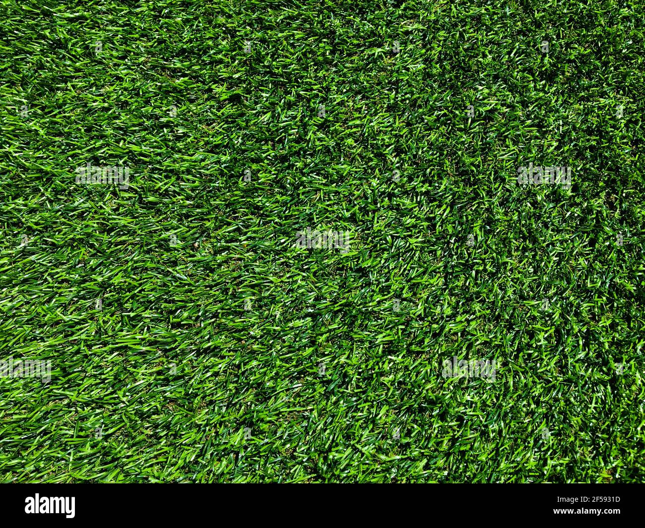 Green grass in the natural background for design Stock Photo - Alamy