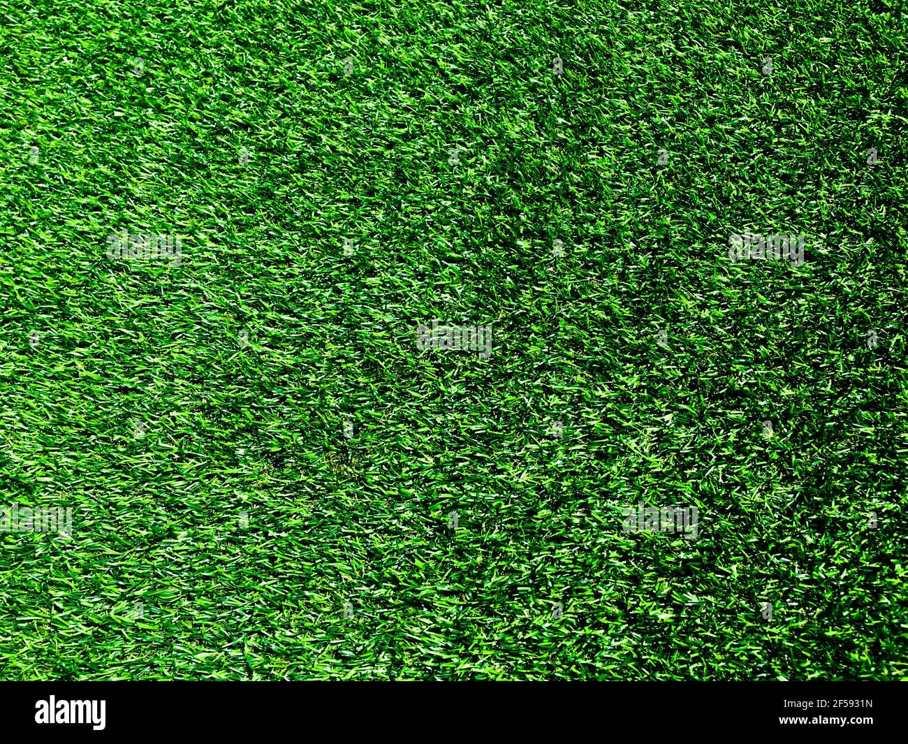 Green grass in the natural background for design Stock Photo - Alamy