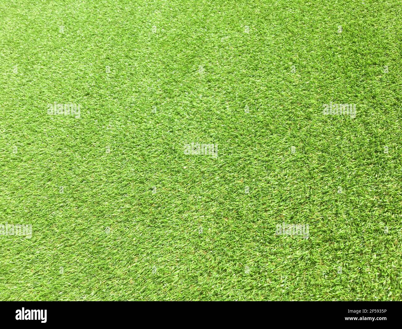 Artificial green lawn backyard for background. Texture for design Stock ...