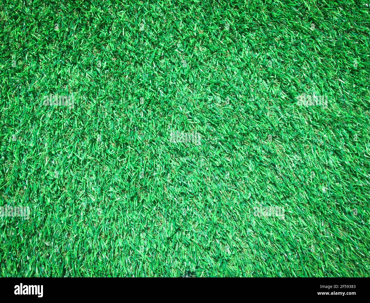 Green grass texture use as natural background. Wallpaper for design ...