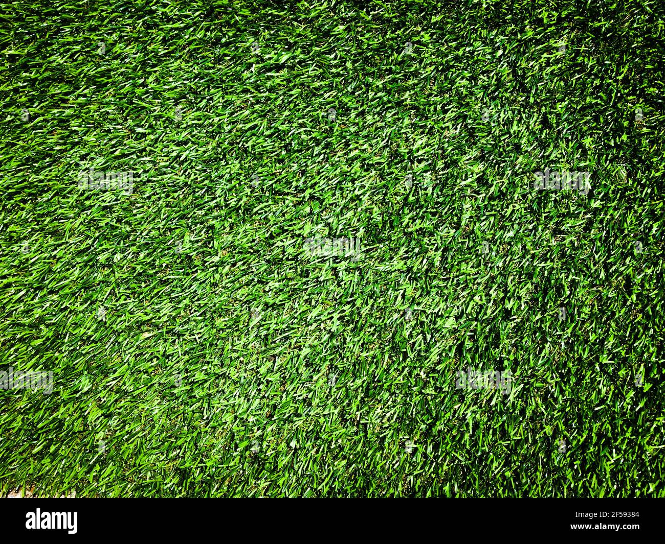 Green grass texture use as natural background. Wallpaper for design ...