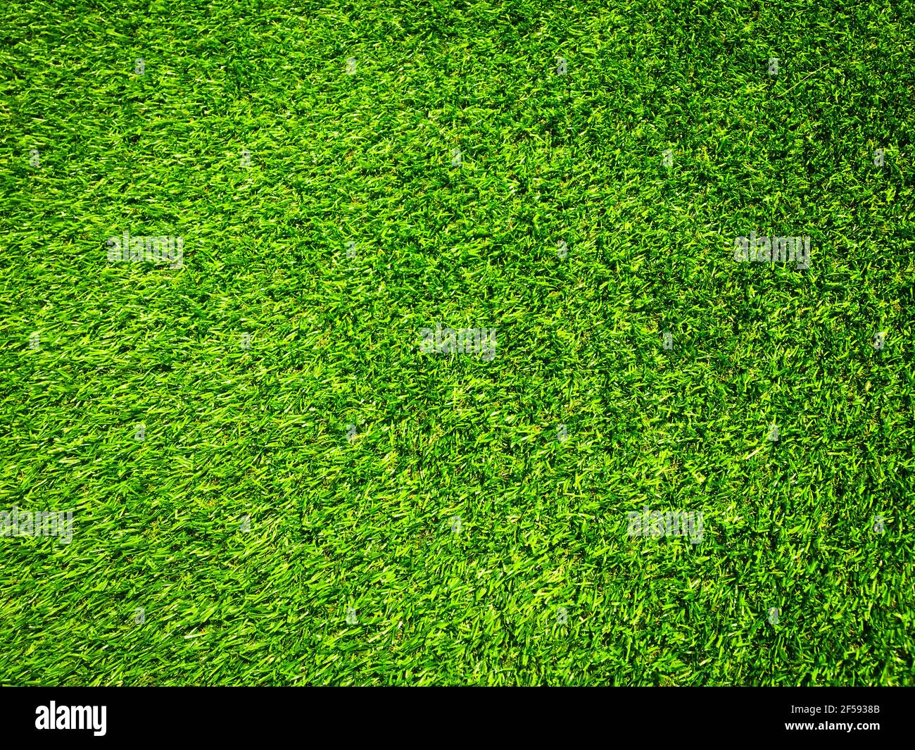 Green grass texture use as natural background. Wallpaper for design ...