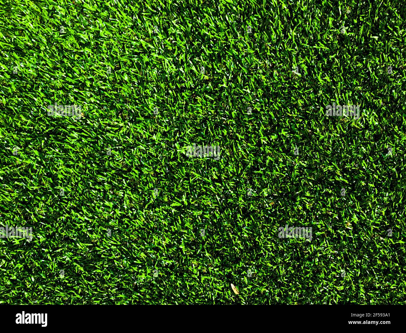 Green grass texture use as natural background. Wallpaper for design ...