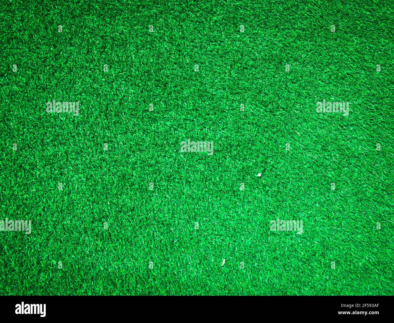 Green grass texture use as natural background. Wallpaper for design ...
