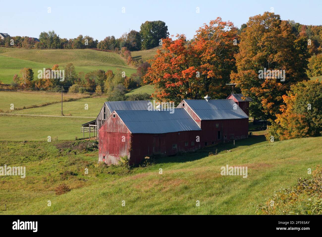 Jenne hi-res stock photography and images - Alamy