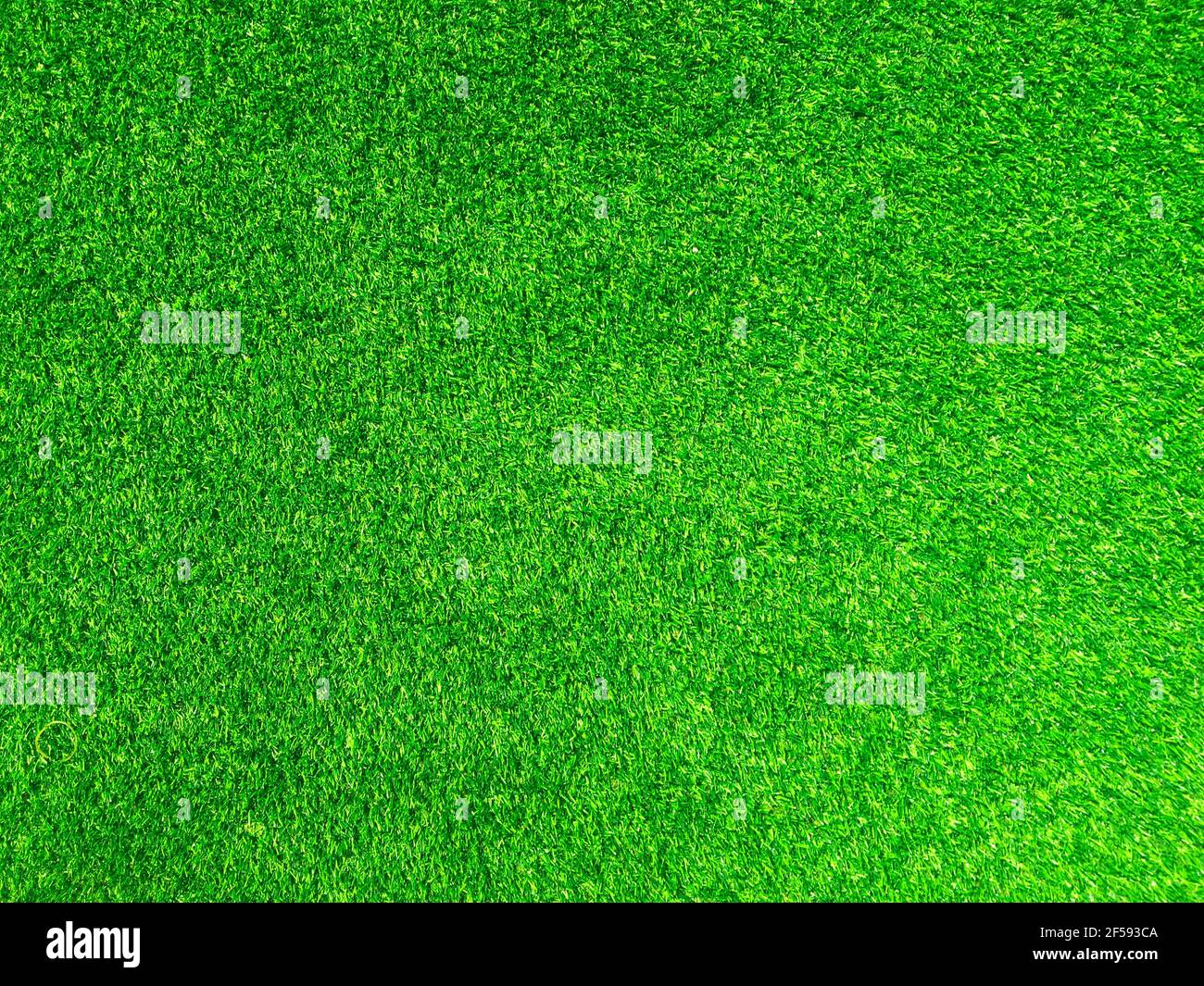 Green grass texture use as natural background. Wallpaper for design ...