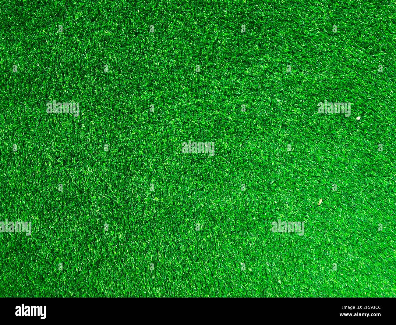 Green grass texture use as natural background. Wallpaper for design ...