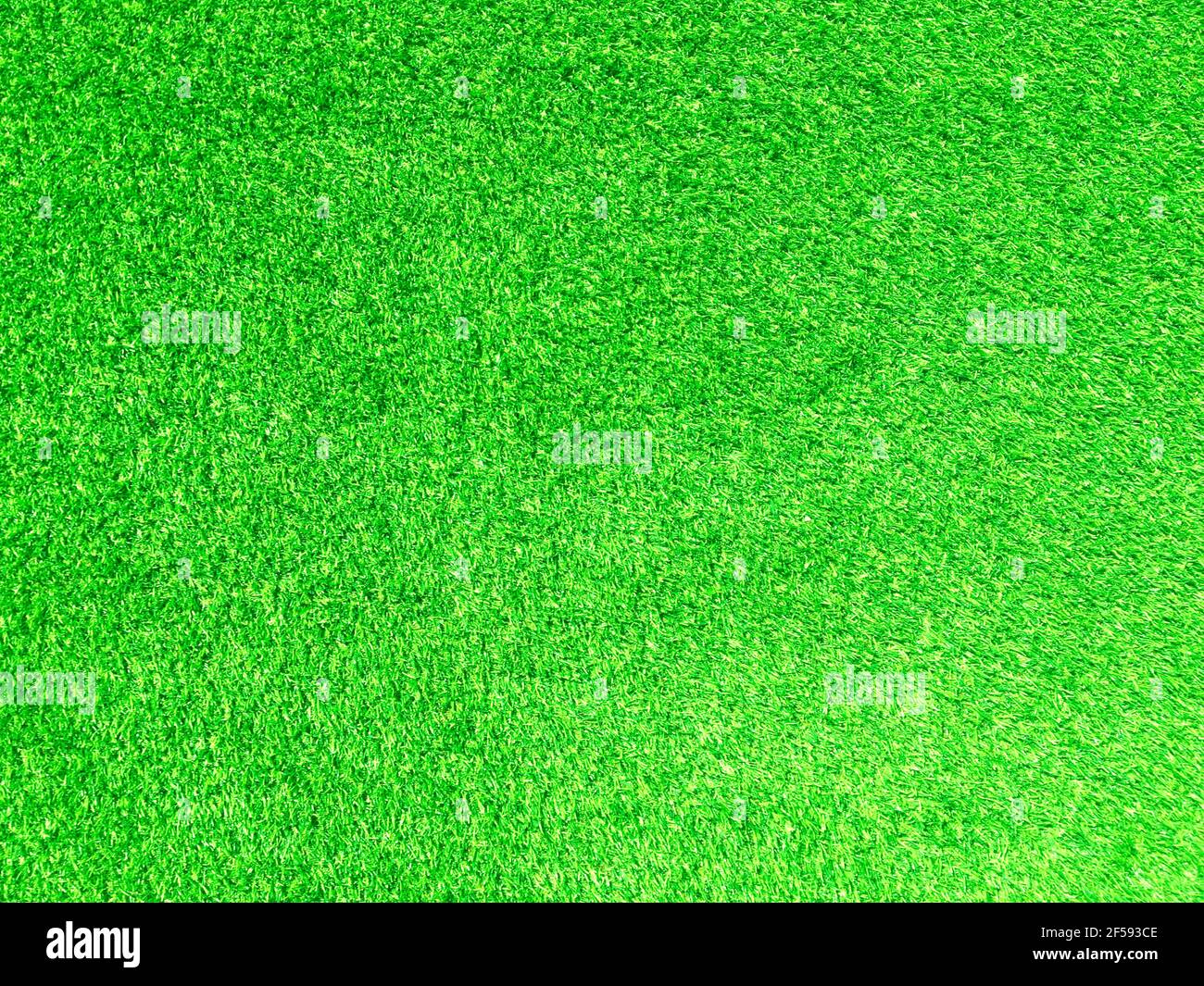Green grass texture use as natural background. Wallpaper for design ...