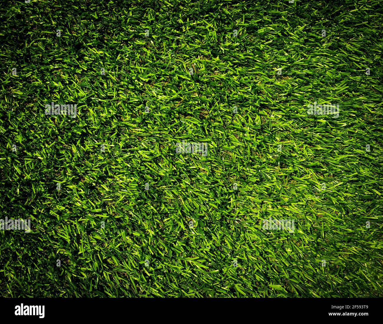 Modern green lawn texture background. Wallpaper for work and design ...