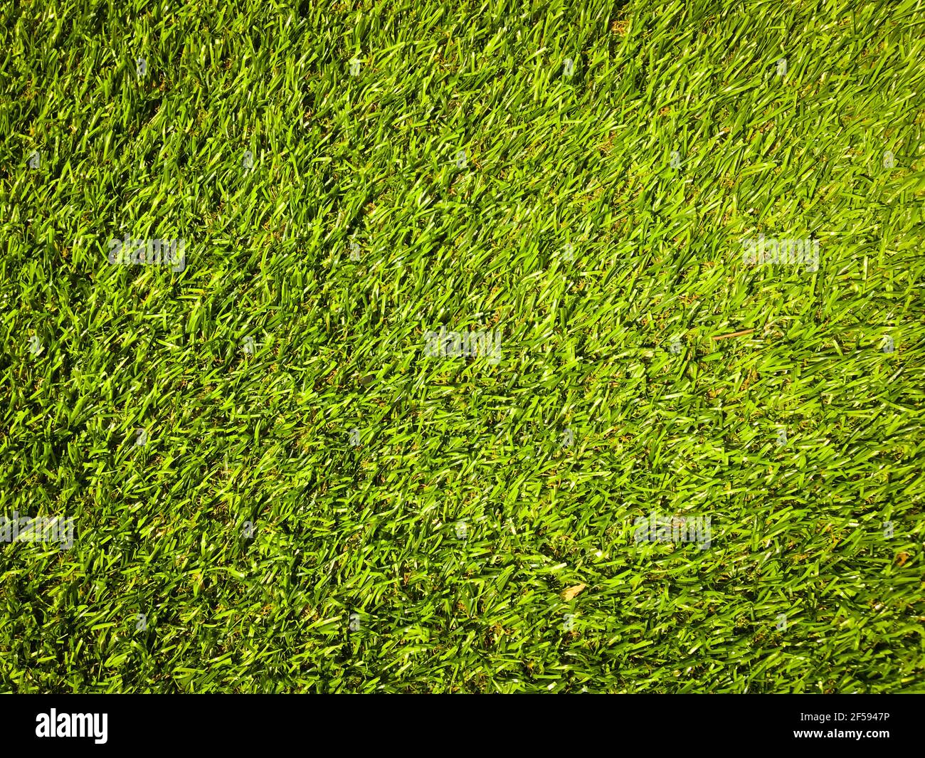 Artificial green grass texture background with copy space for work and ...