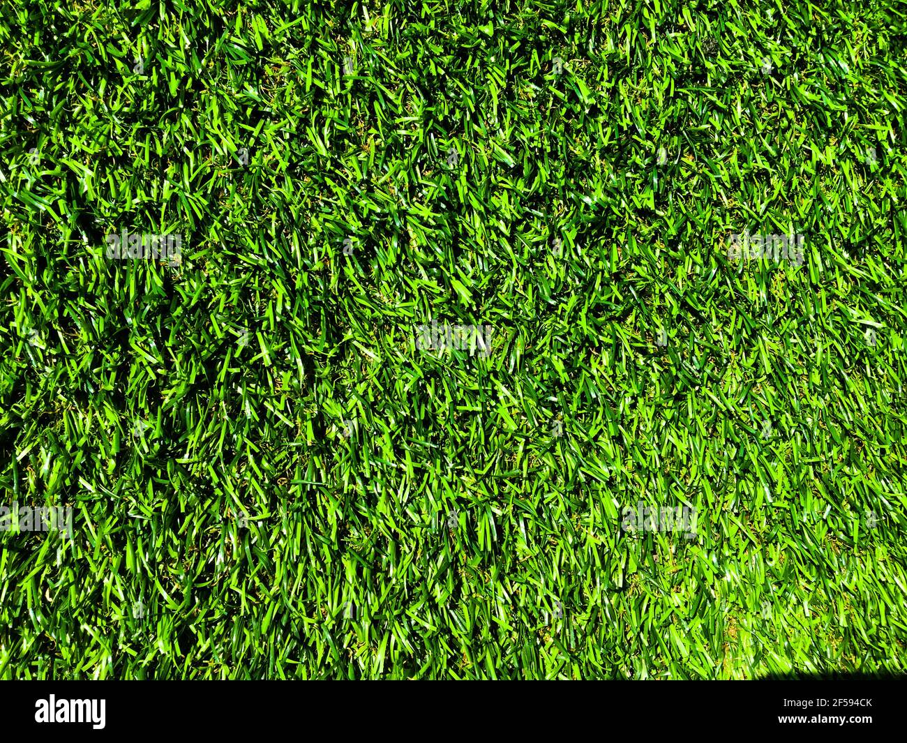 Beautiful green grass pattern from golf course for background. Copy ...