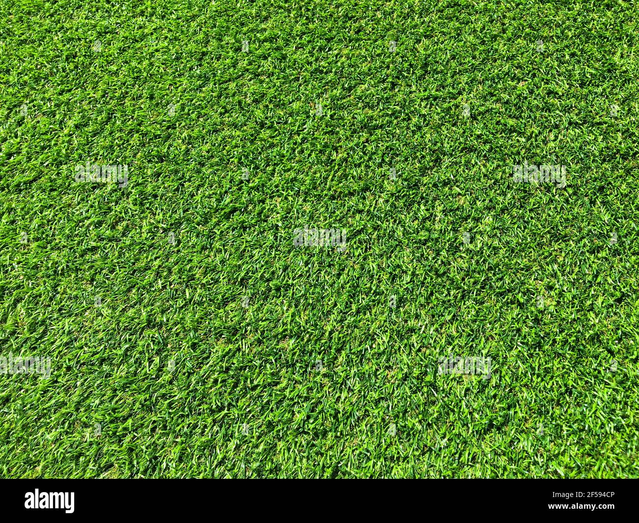 Beautiful green grass pattern from golf course for background. Copy ...