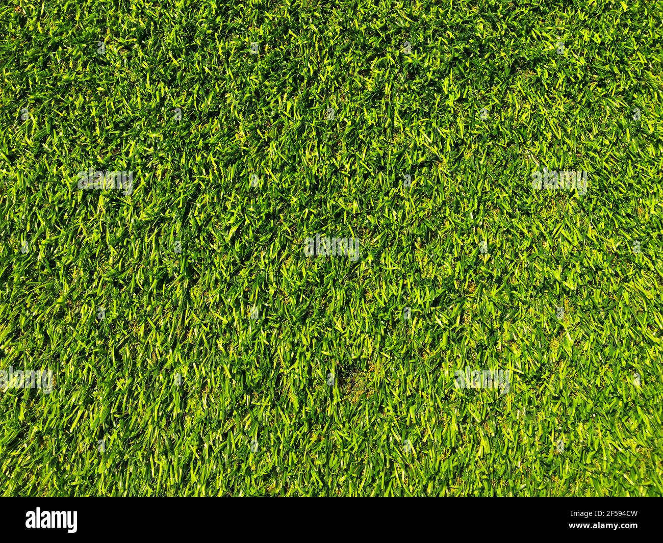Beautiful green grass pattern from golf course for background. Copy ...