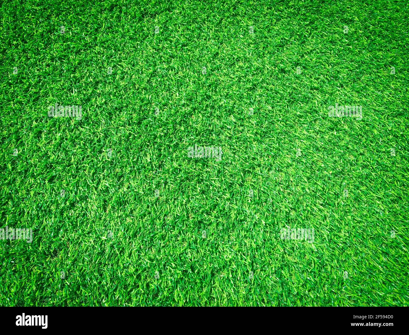 Beautiful green grass pattern from golf course for background. Copy ...