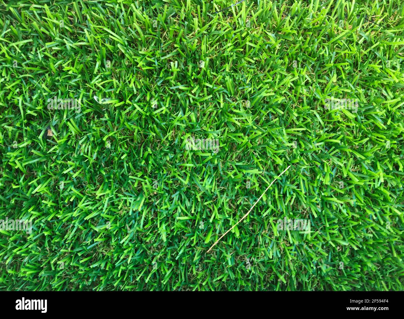 Beautiful green grass pattern from golf course for background. Copy ...
