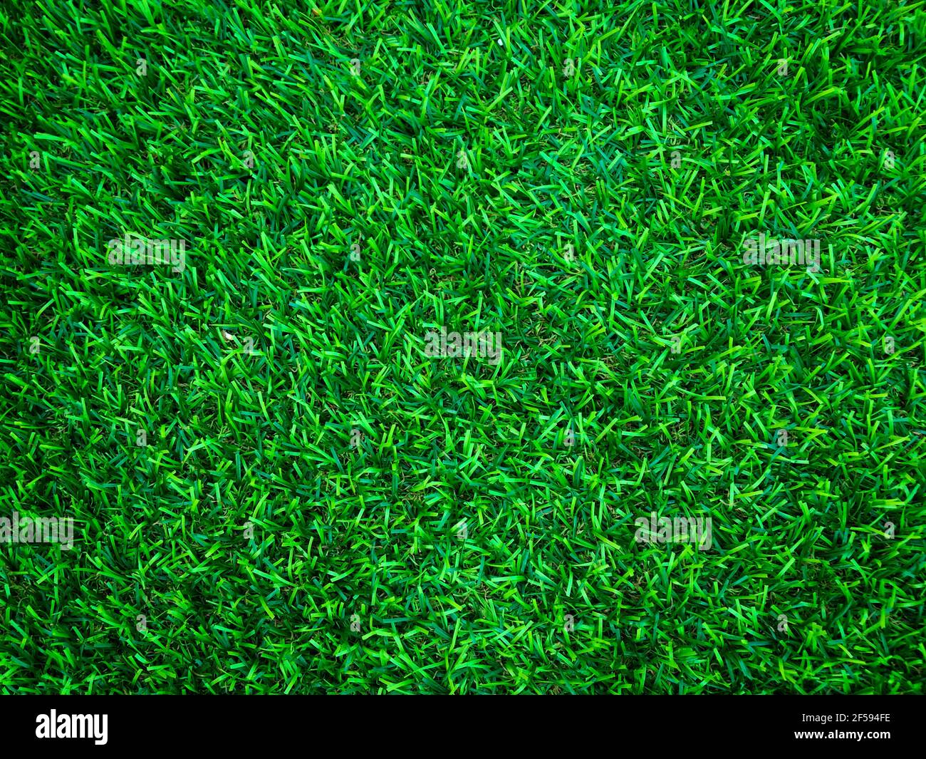 Beautiful green grass pattern from golf course for background. Copy ...