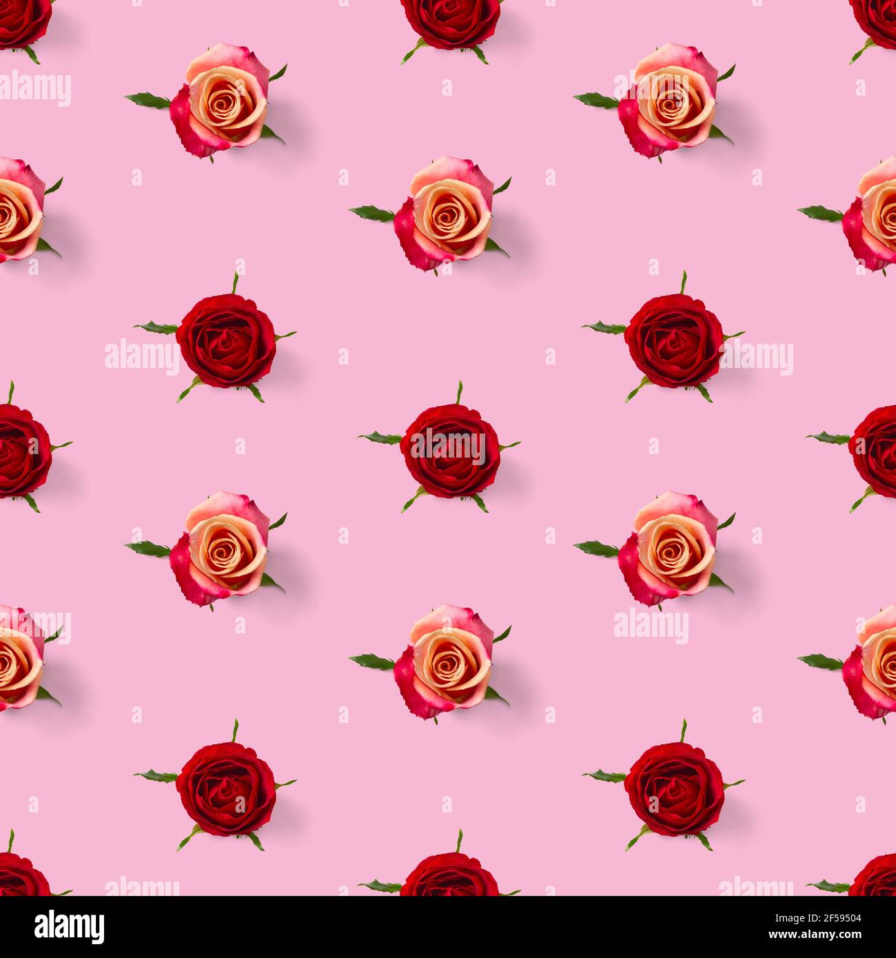 Rosebud seamless pattern. head of rose bloom isolated on pink pattern ...