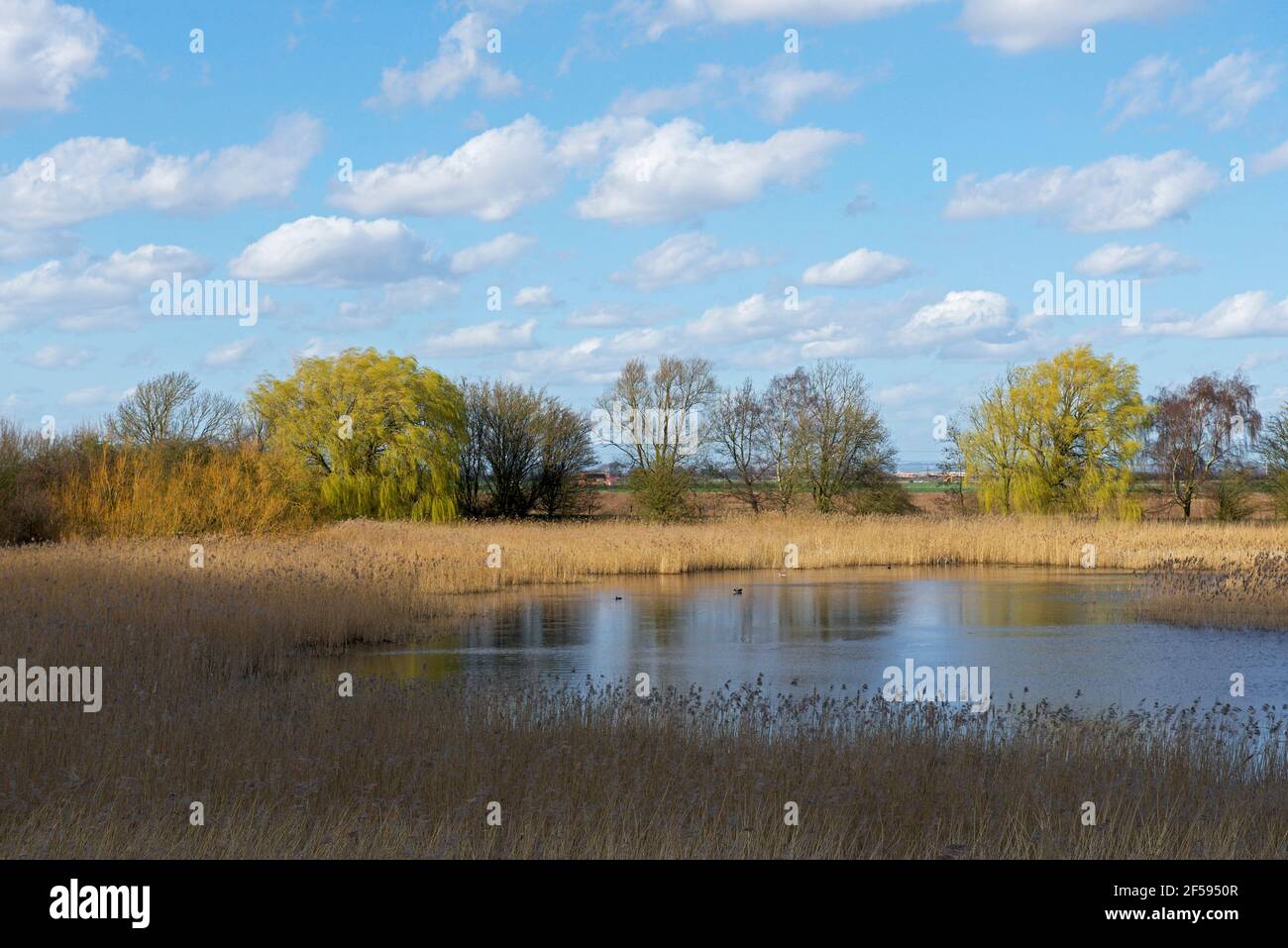 Ponds england hi-res stock photography and images - Alamy