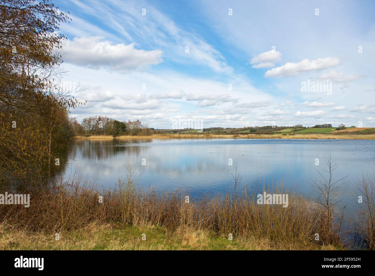 North Cave Wetlands nature reserve, East Yorkshire, England UK Stock ...