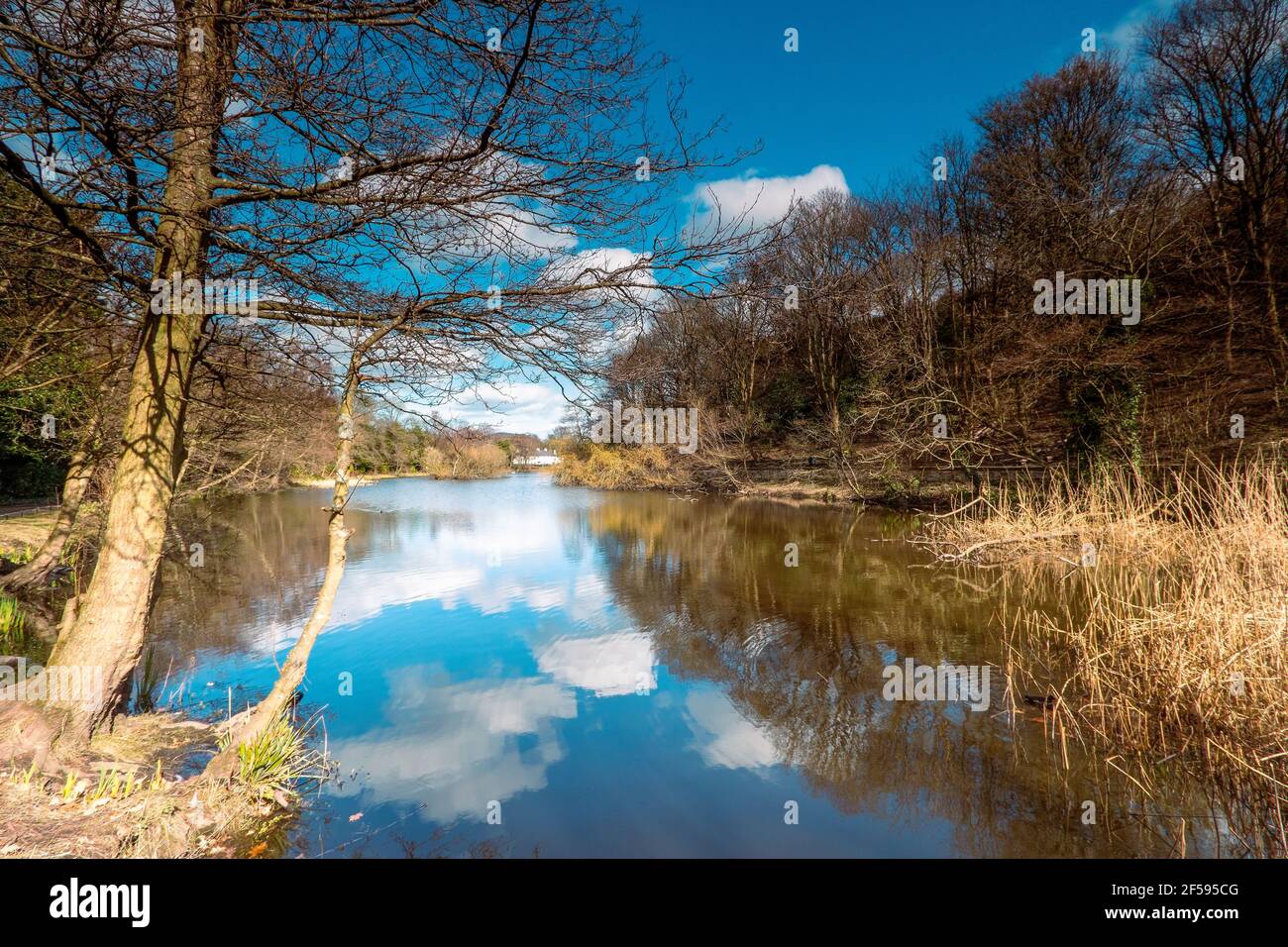 Blackford hi-res stock photography and images - Alamy