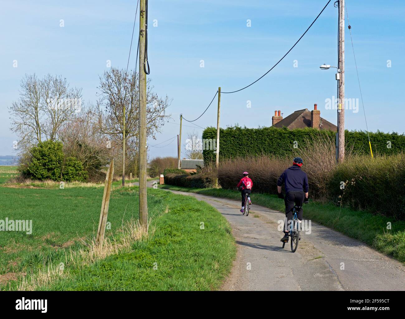Two cyclists on the Trans Pennine Trail, near Faxfleet, East Yorkshire ...