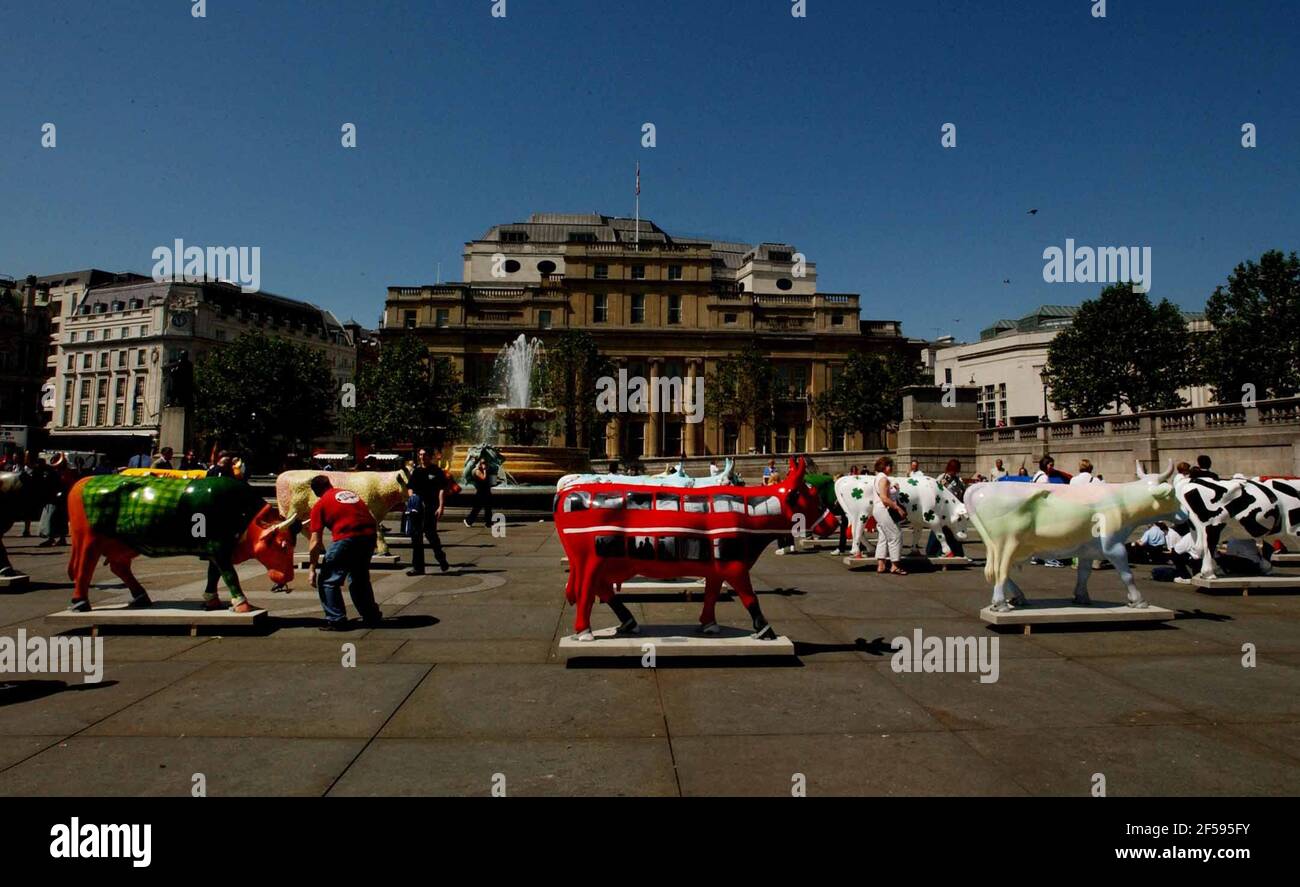 6 cows hi-res stock photography and images - Alamy