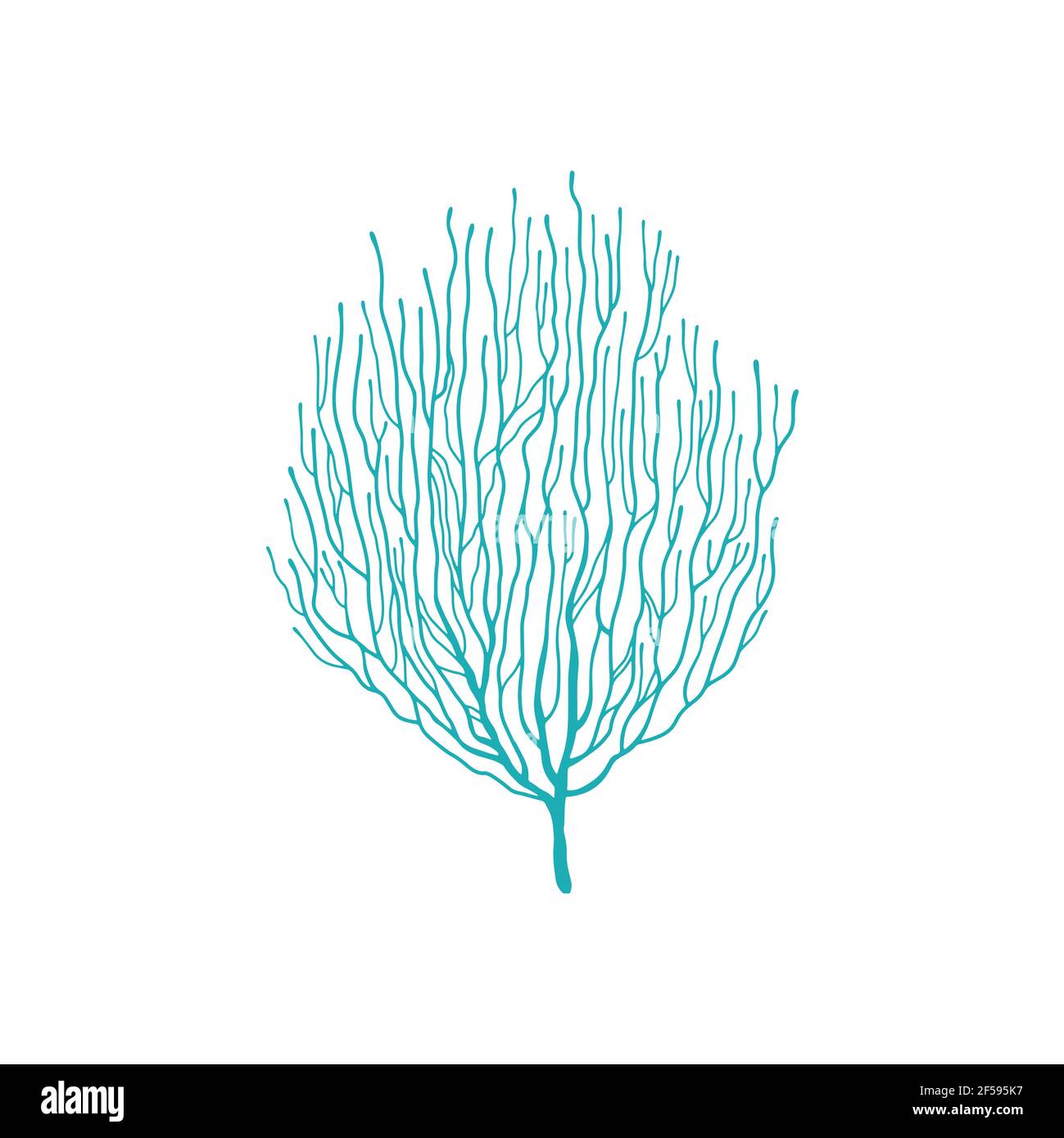 Blue bubble tip anemone isolated soft coral icon Stock Vector Image ...