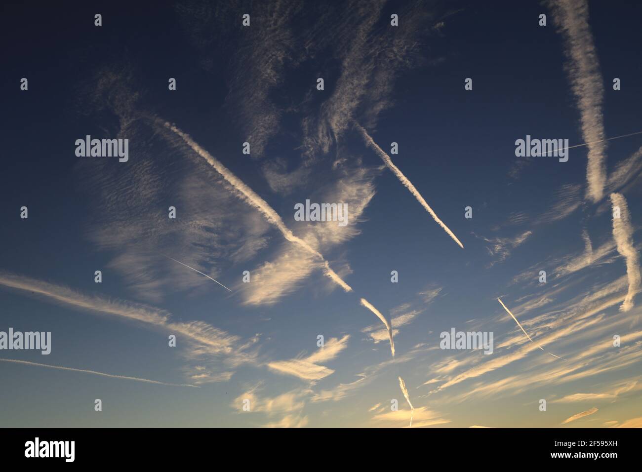 Contrails in evening blue sky with light clouds at sunset, illuminated ...