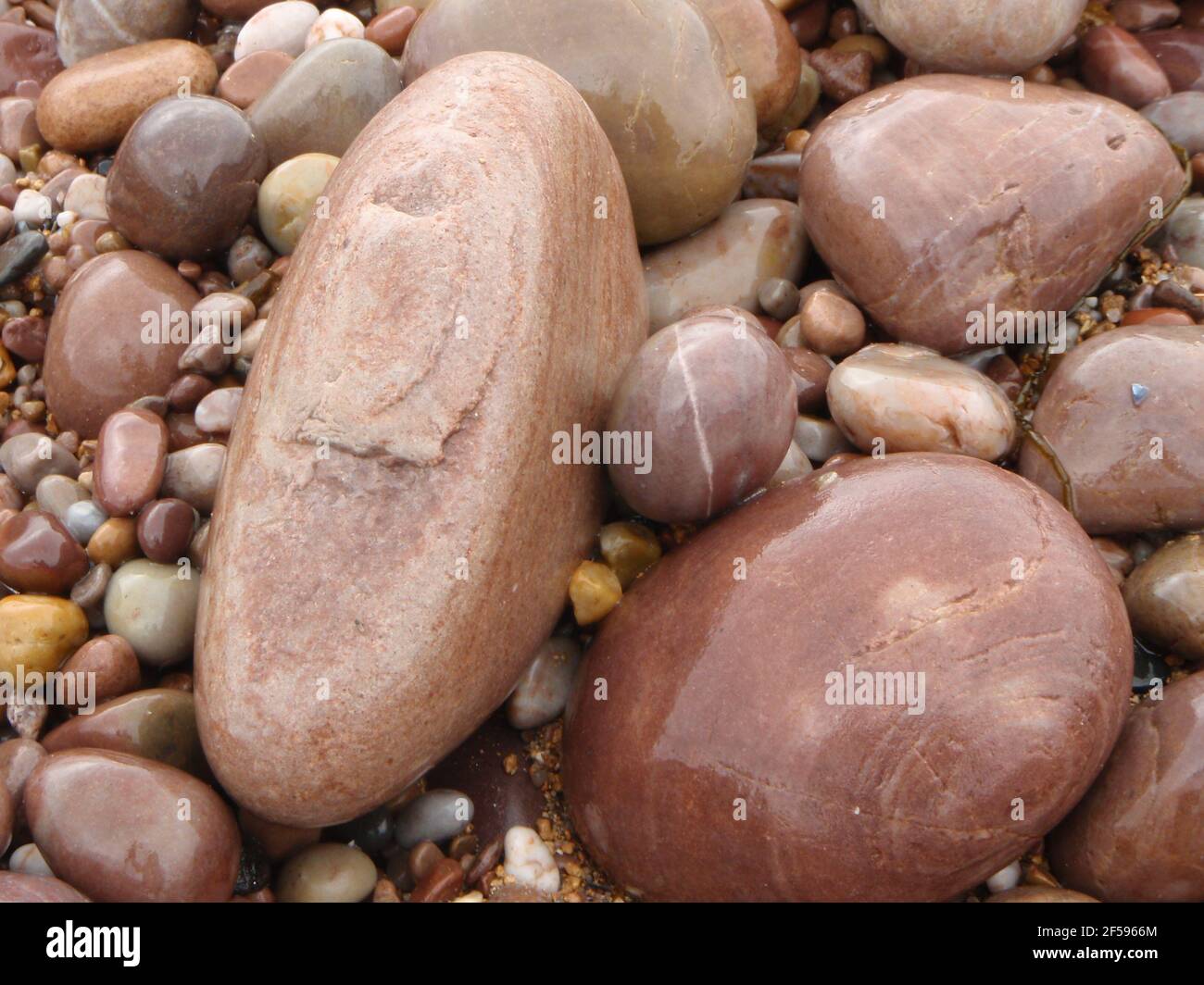 Wet stones of different size and shape with variety of colours and ...