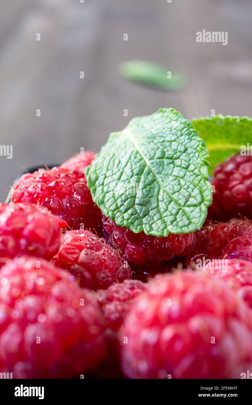 Close-up of mint leaf, wet raspberries in bowl, selective focus, on ...
