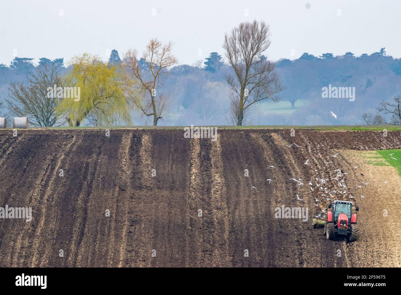 Tractor in field, countryside, scenic Stock Photo - Alamy